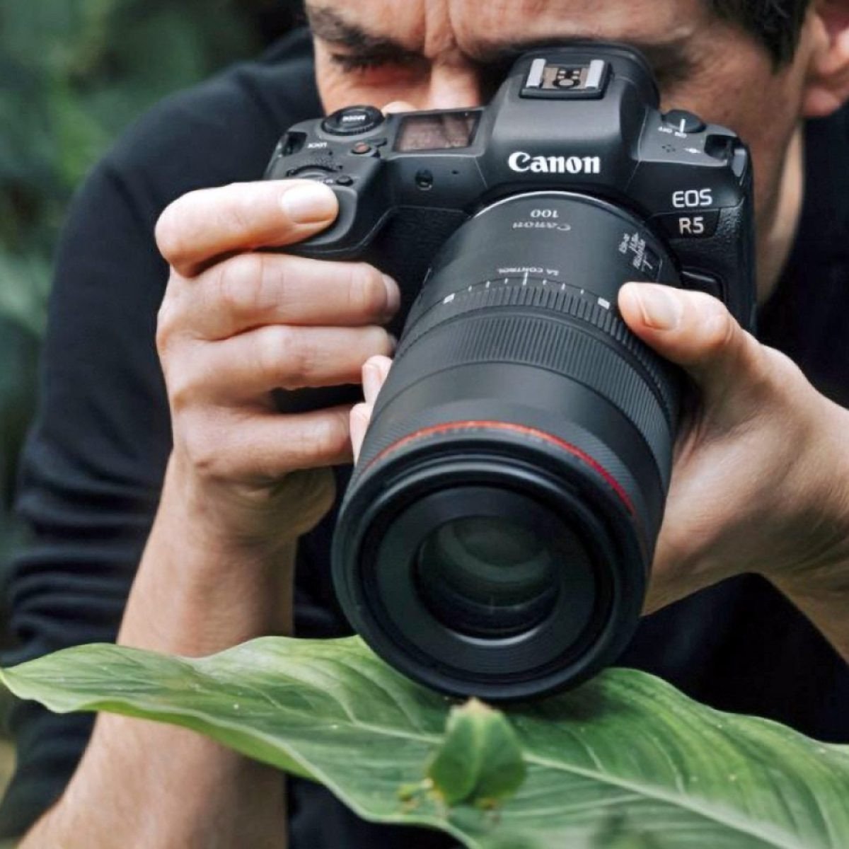 Review: The Top Macro Lenses for Capturing Detailed Shots - Rent a ...