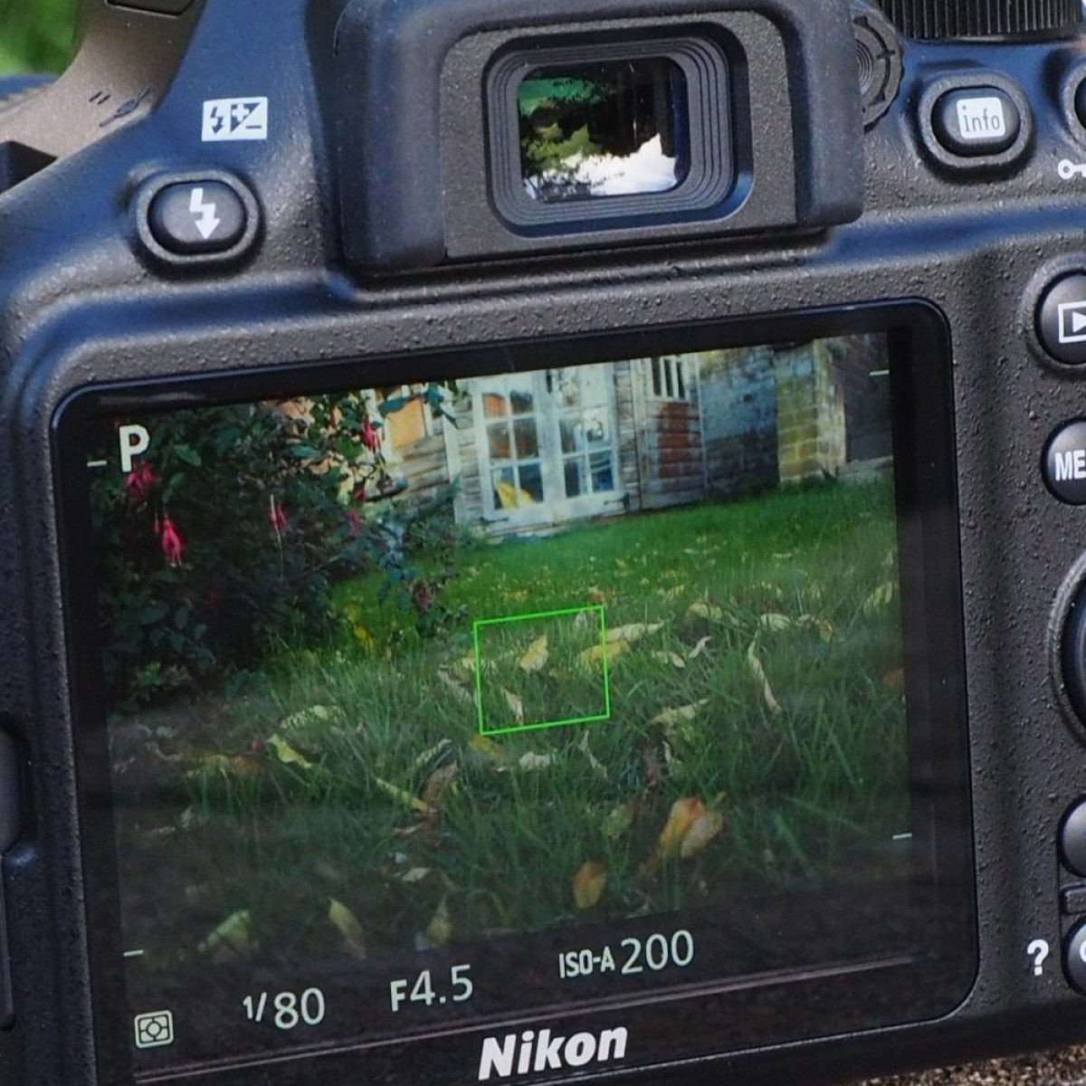 Mastering Your Shots: A Review of Top DSLR Cameras in 2023 - Rent a ...