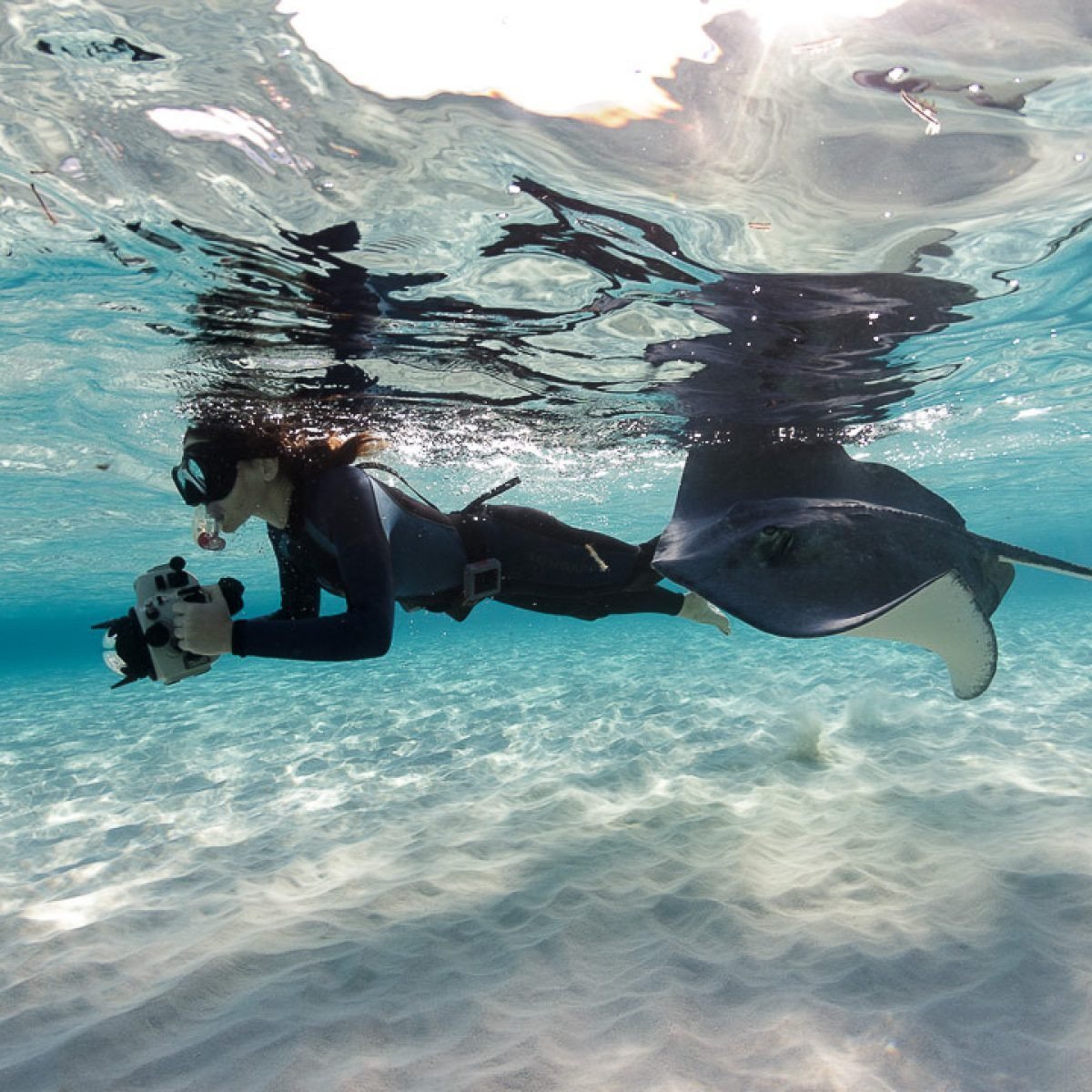 Exploring the Depths: An Introduction to Underwater Photography - Rent a Photo Studio