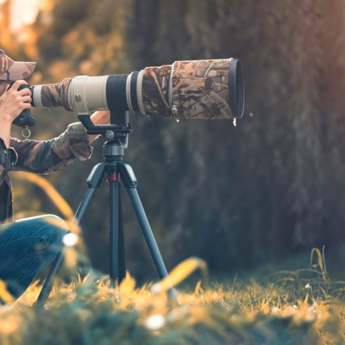 Exploring Photography Genres: From Portraits to Wildlife - Rent a Photo ...