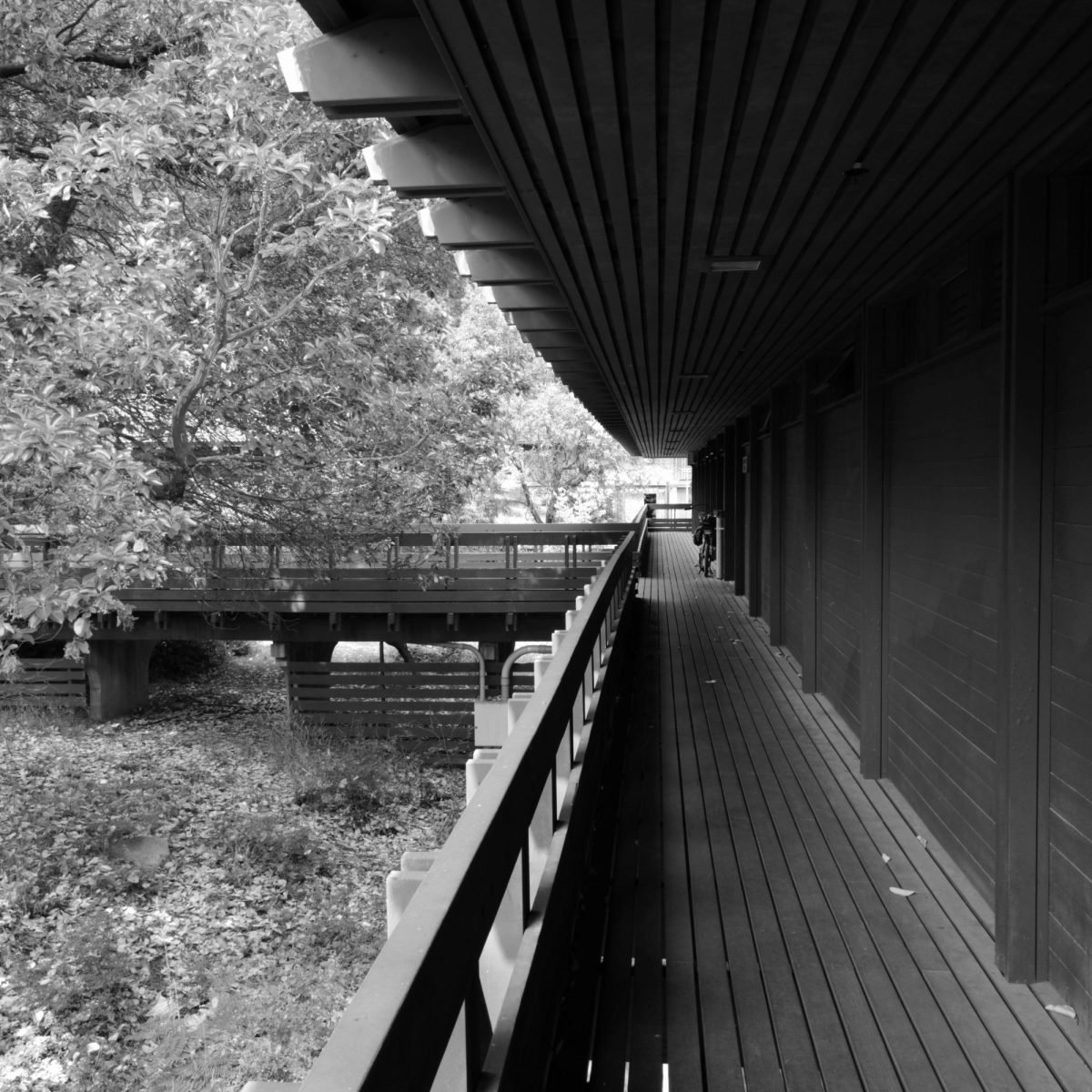 The Art of Minimalism: Simplifying Your Travel Photography Composition ...