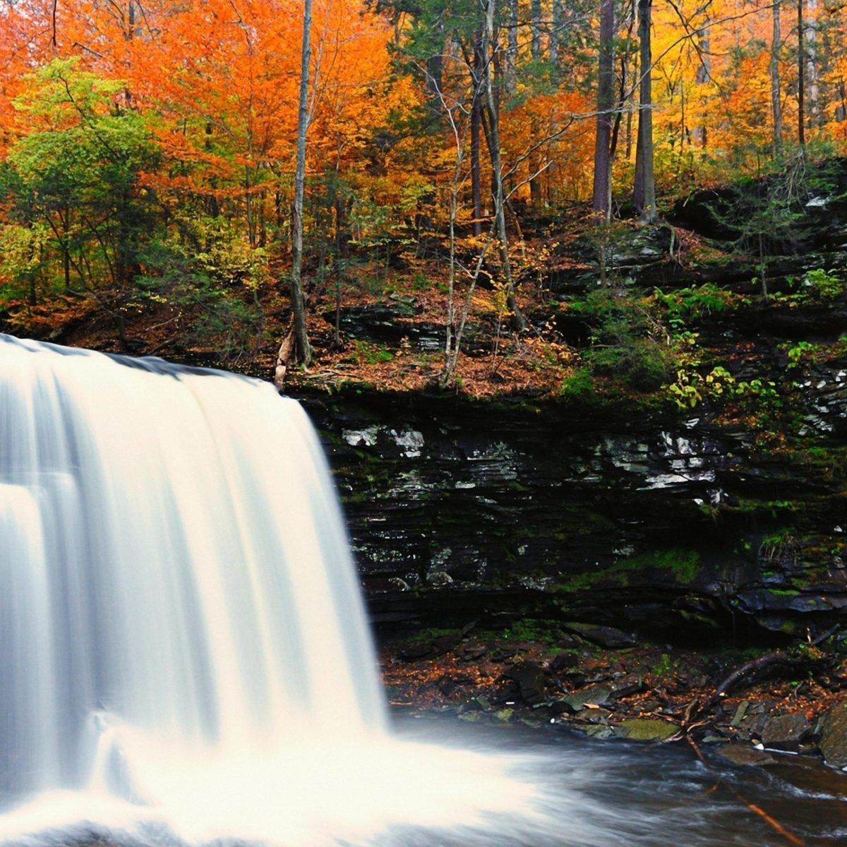 7 Ways to Create Stunning Bokeh Effects in Your Photos - Rent a Photo Studio