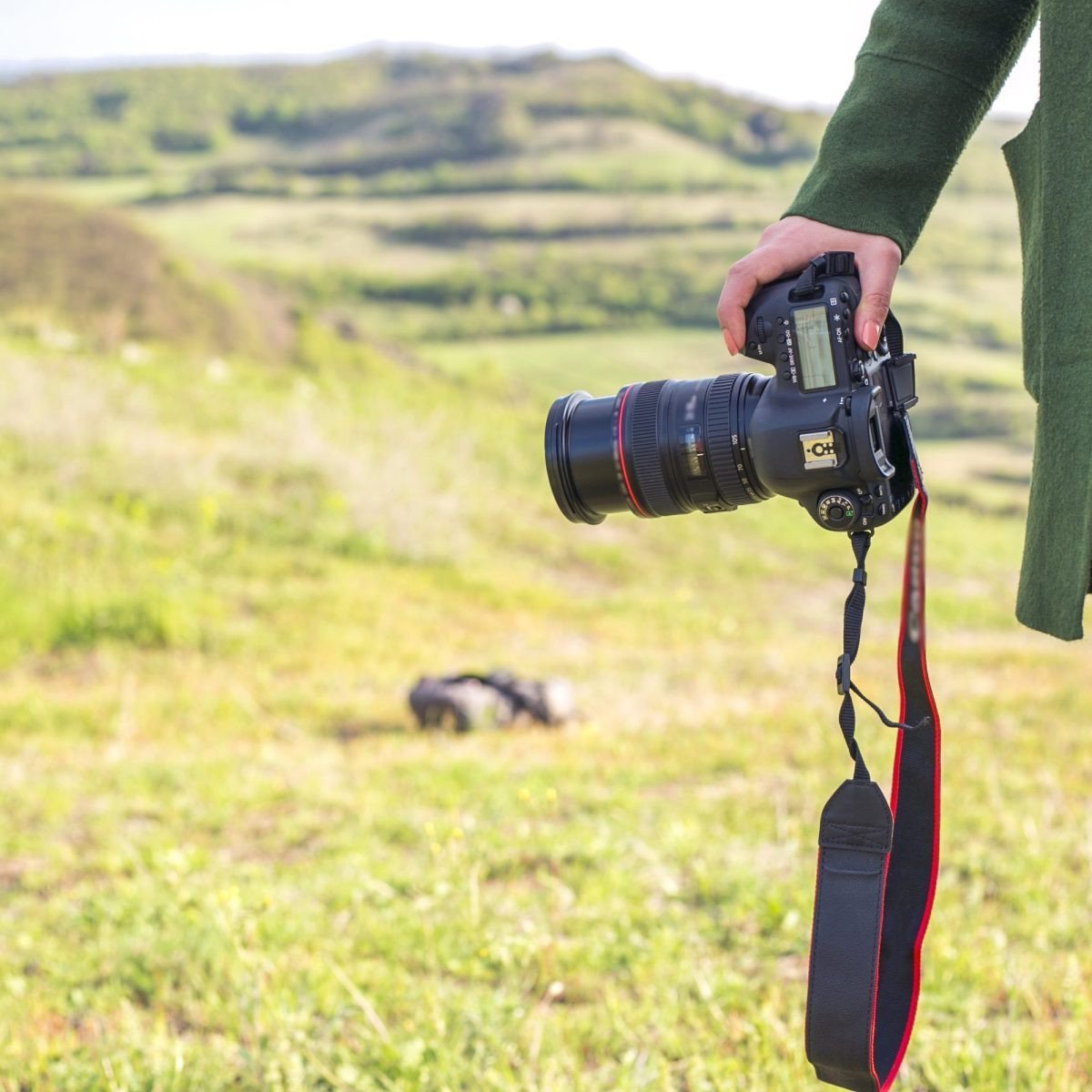 Setbacks and Triumphs: My Most Memorable Photoshoot Experiences - Rent ...