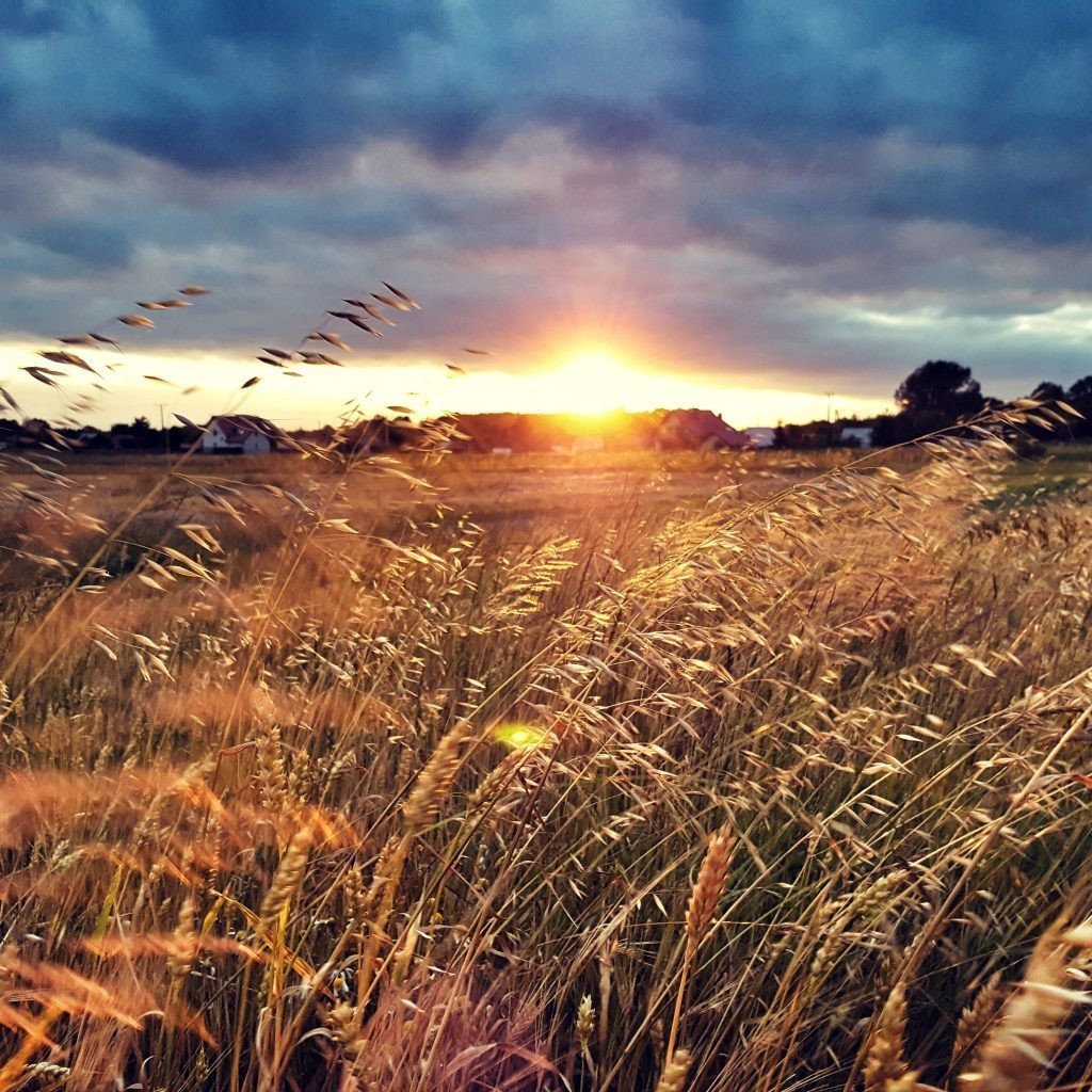 How to Enhance Your Photography with Golden Hour Lighting - Rent a ...