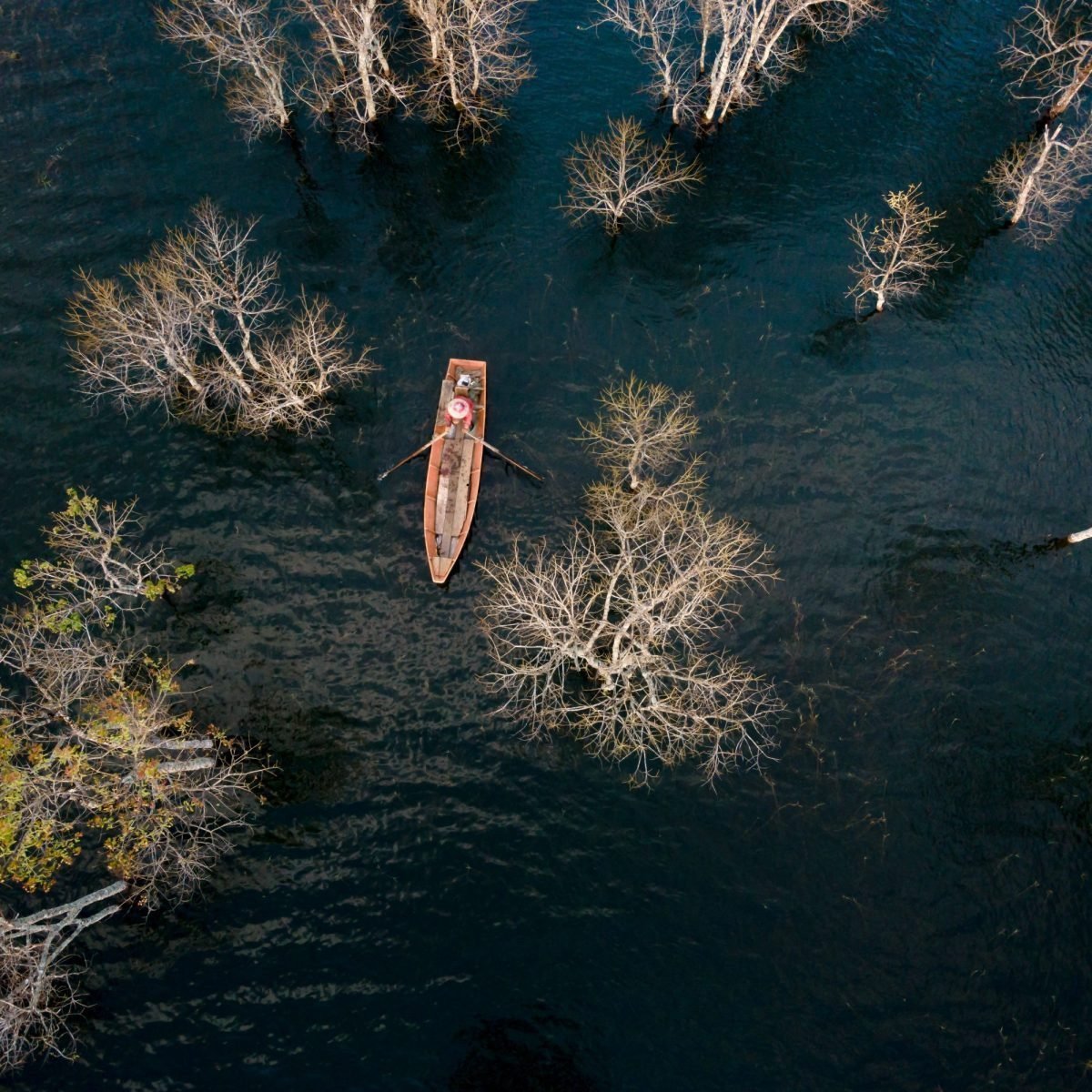 Aerial Photography: The Bird’s Eye View Perspective - Rent a Photo Studio